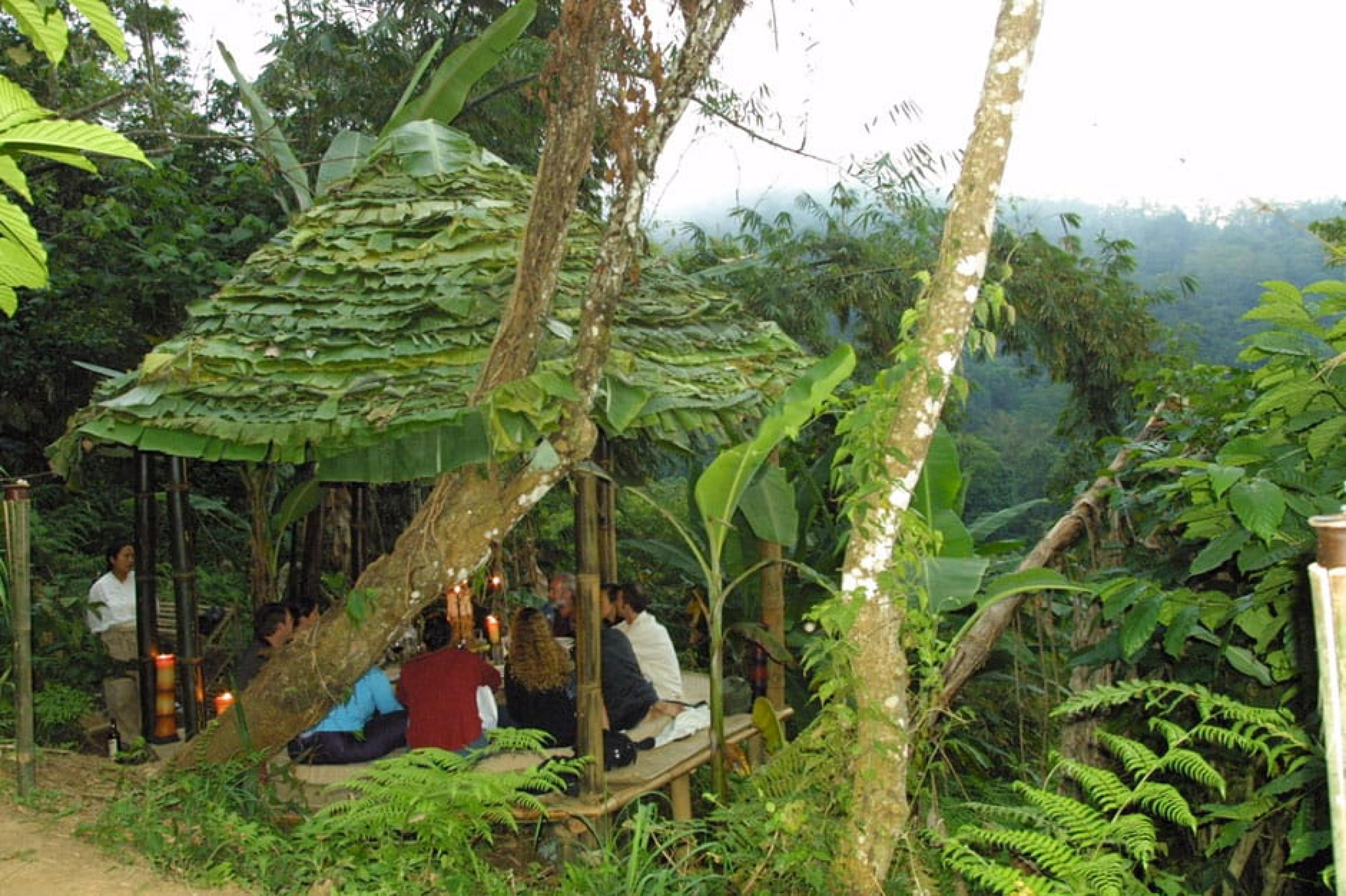 Things to Do In Bali