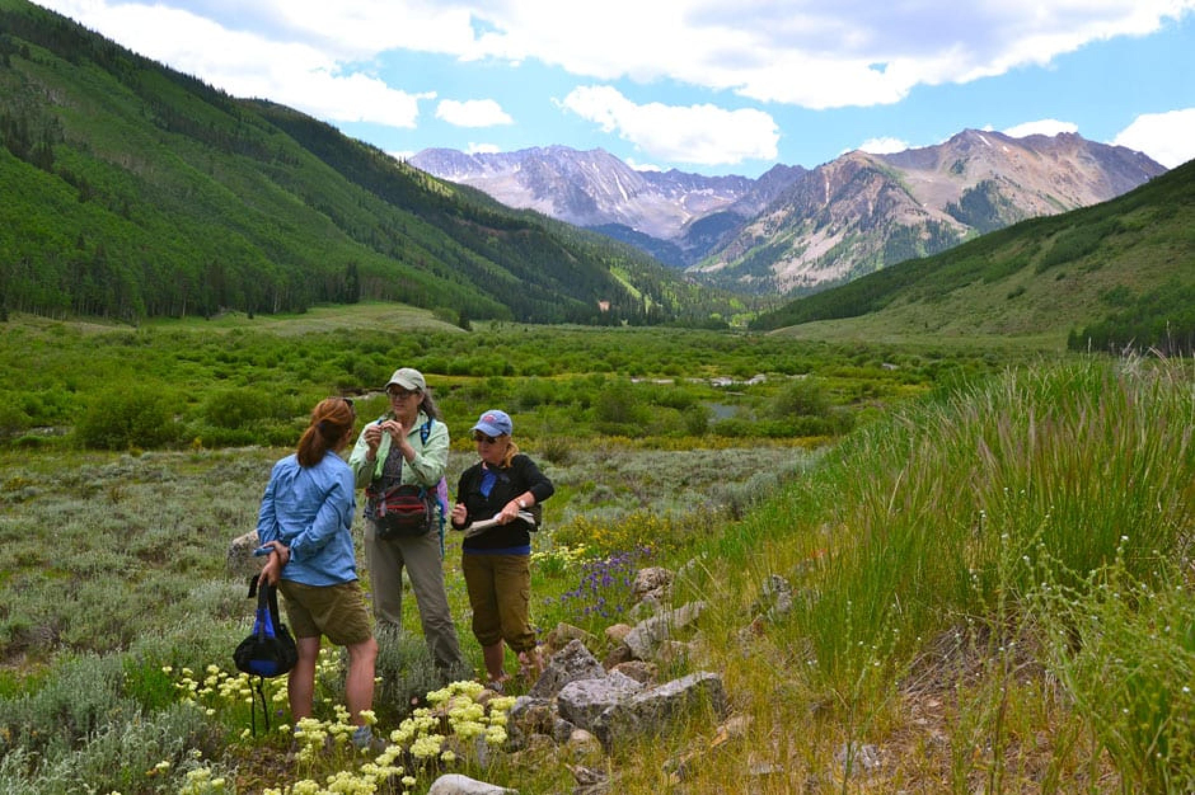 Things to Do In Aspen