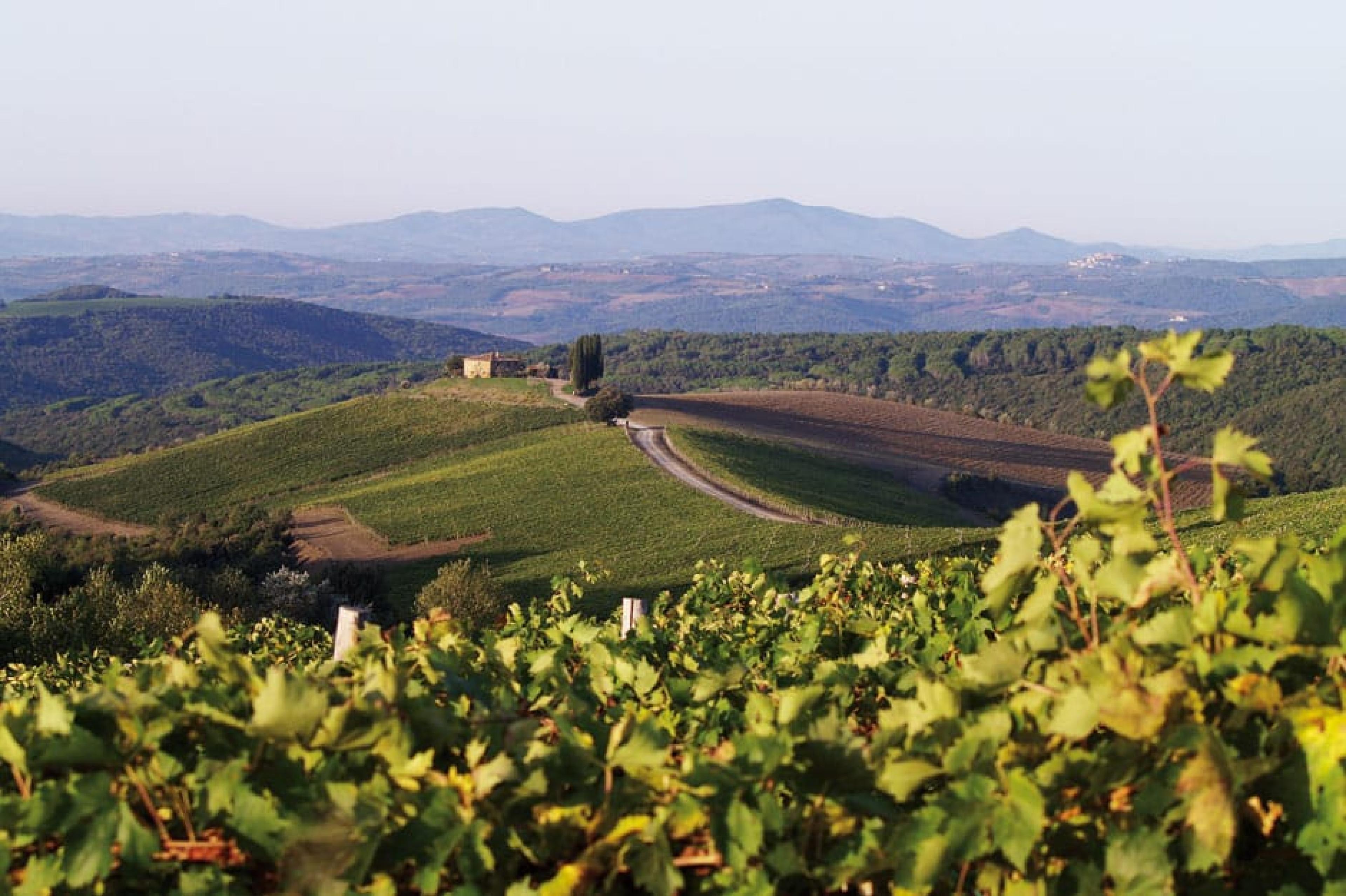 Things to Do In Tuscany