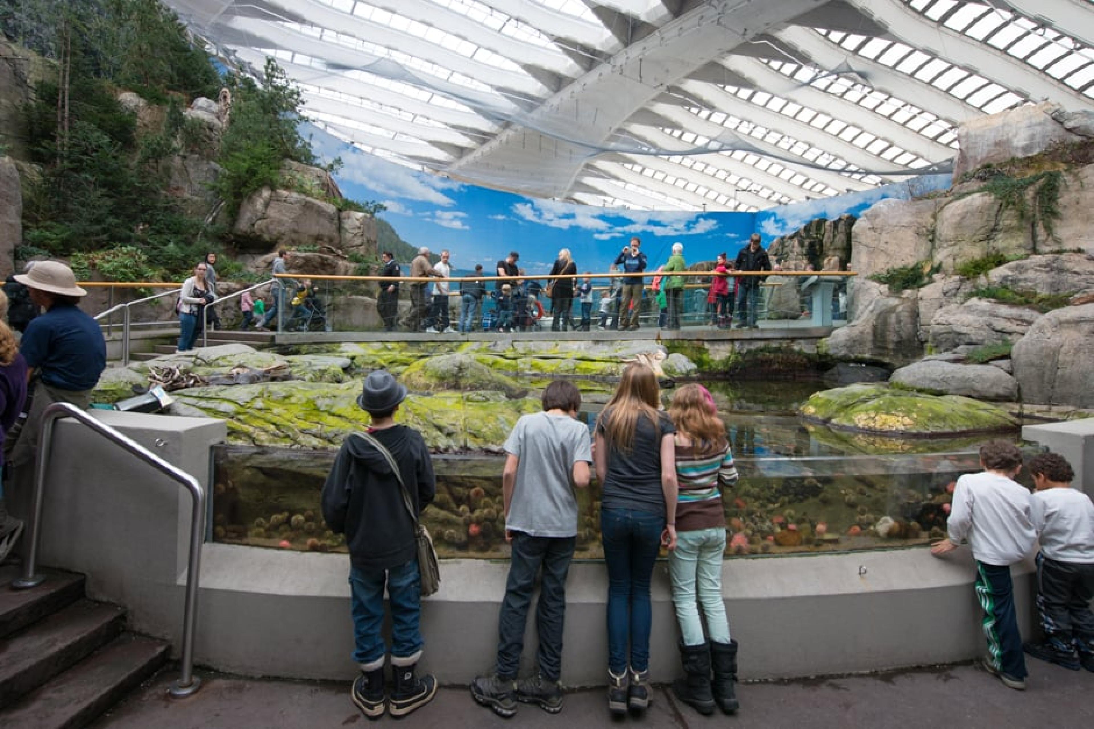 Things to Do In Montreal