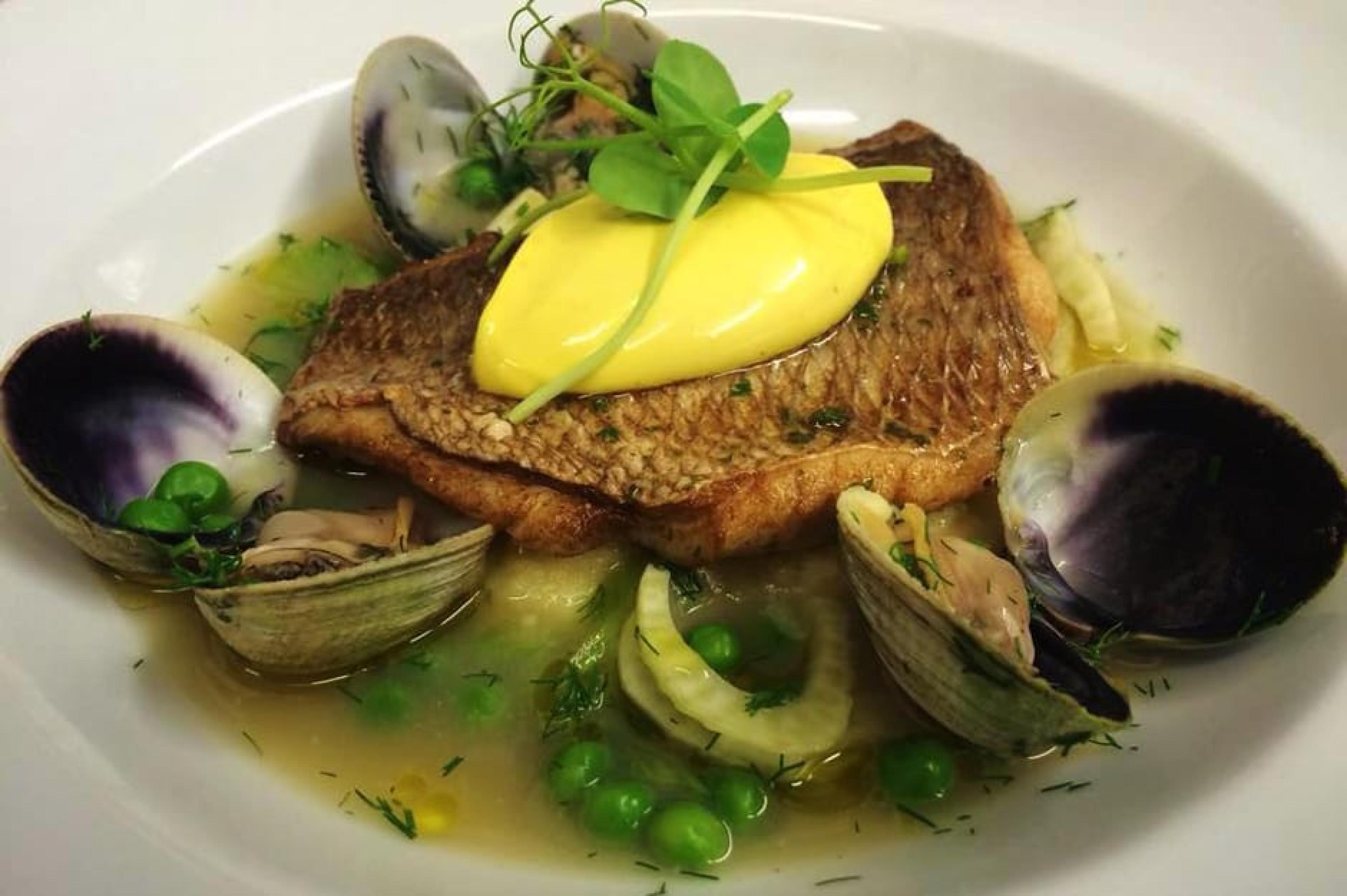 Best New Zealand Restaurants