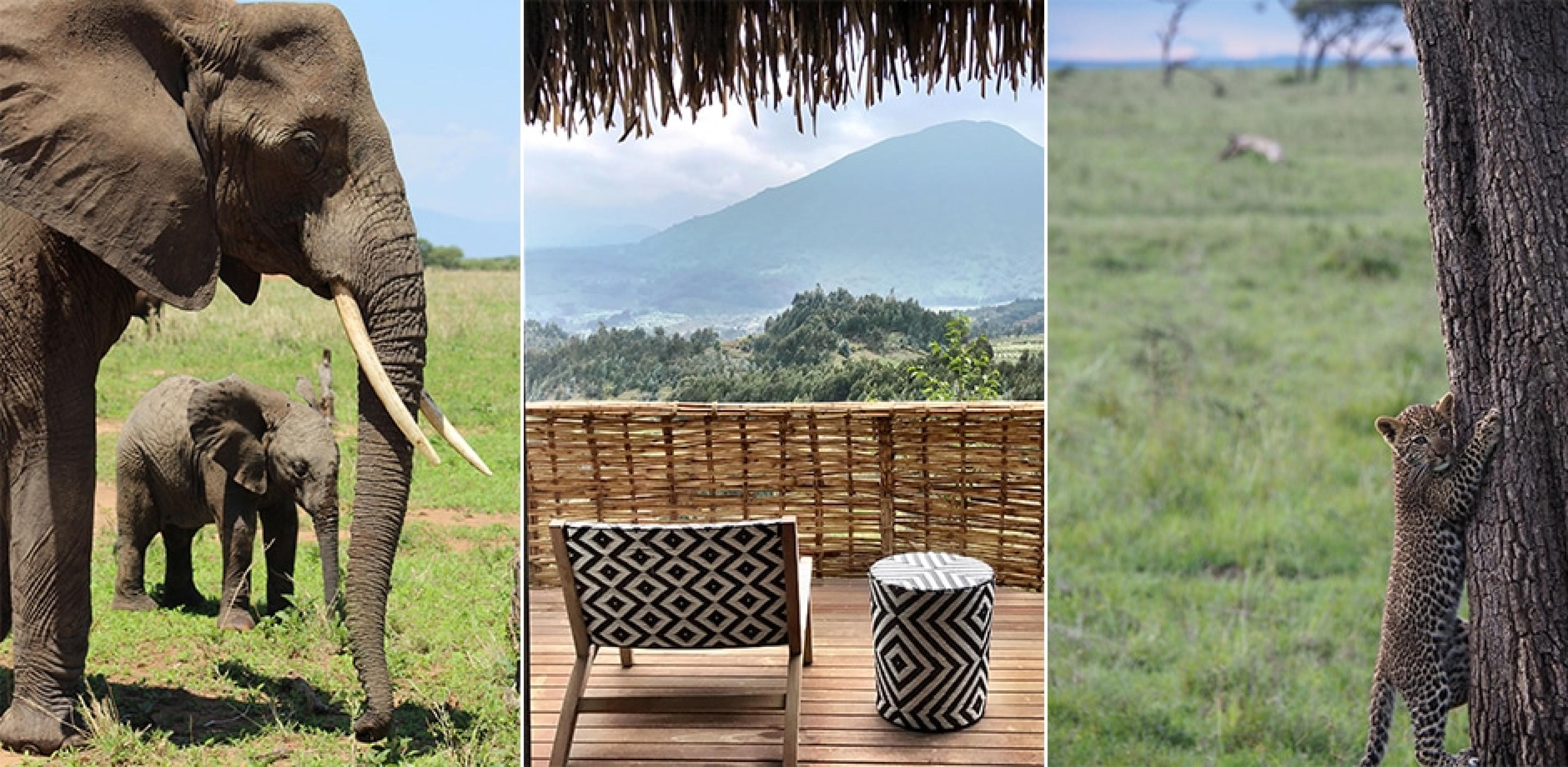 Travel with Indagare Safari