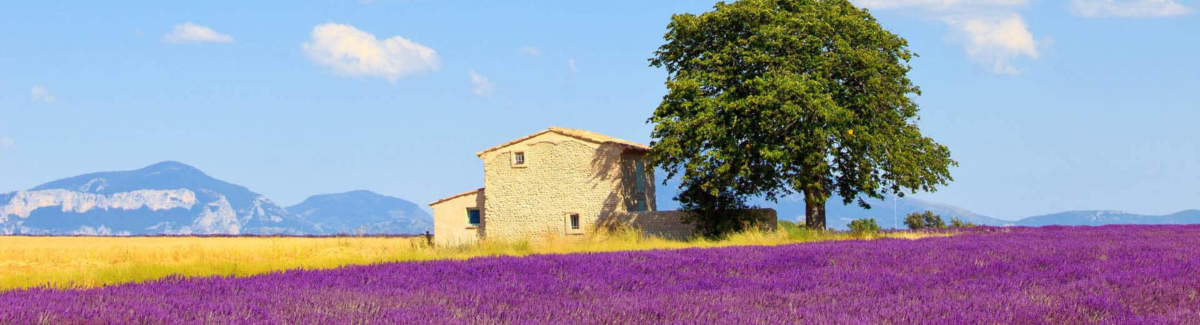 Provence