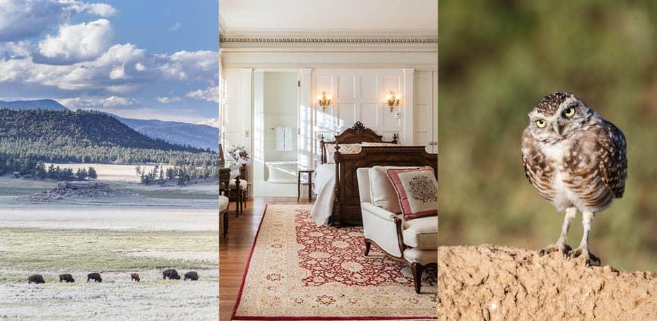 First Look: Ted Turner's Vermejo Park Ranch