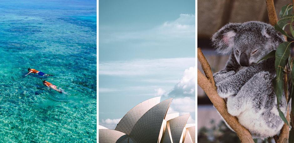 Seven to Know: Australia