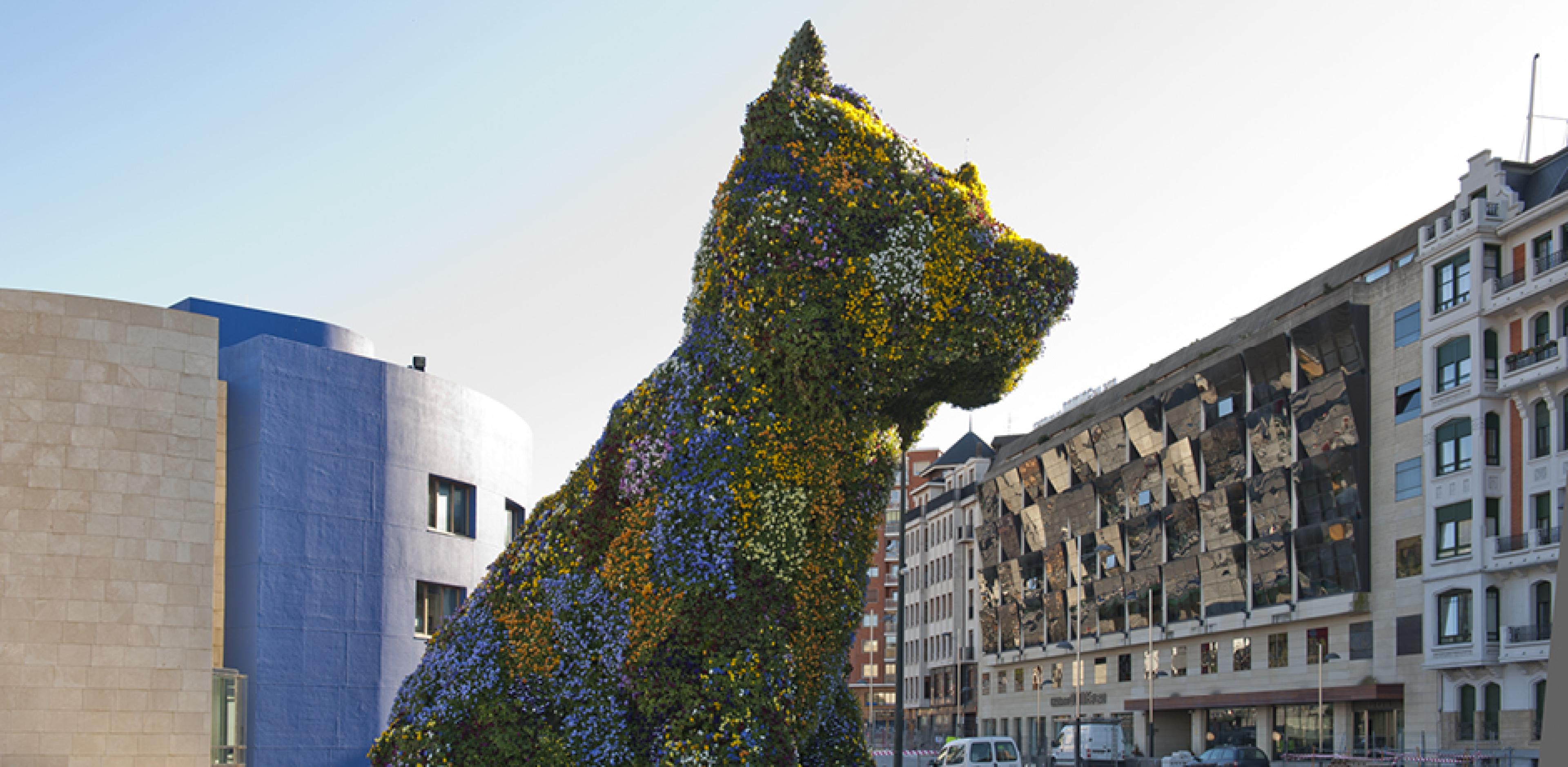 From Bilbao to Bordeaux: A Solo Journey Along the Bay of Biscay